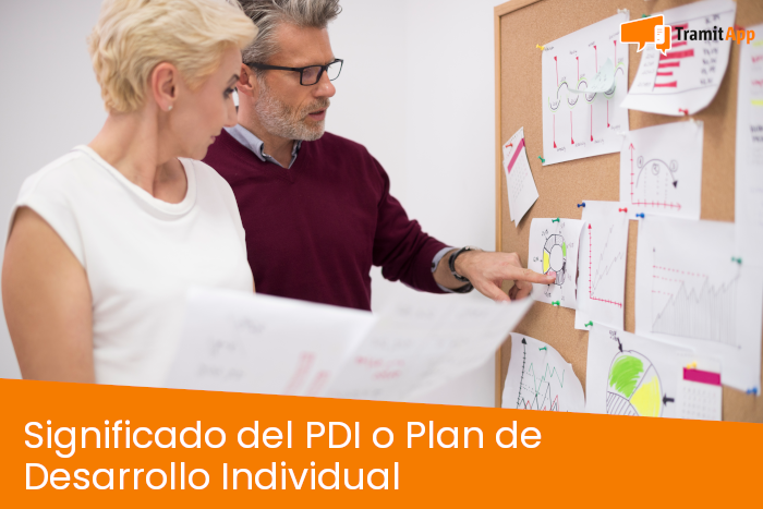 Significado del PDI o Plan de desarrollo individual